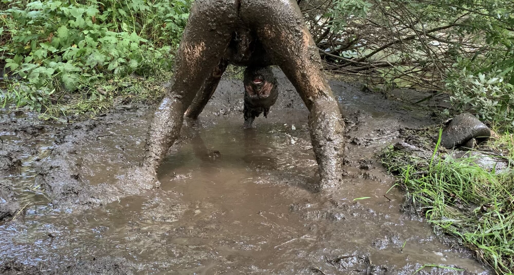 Mud Mud Mud 38 Pics Xhamster 1023
