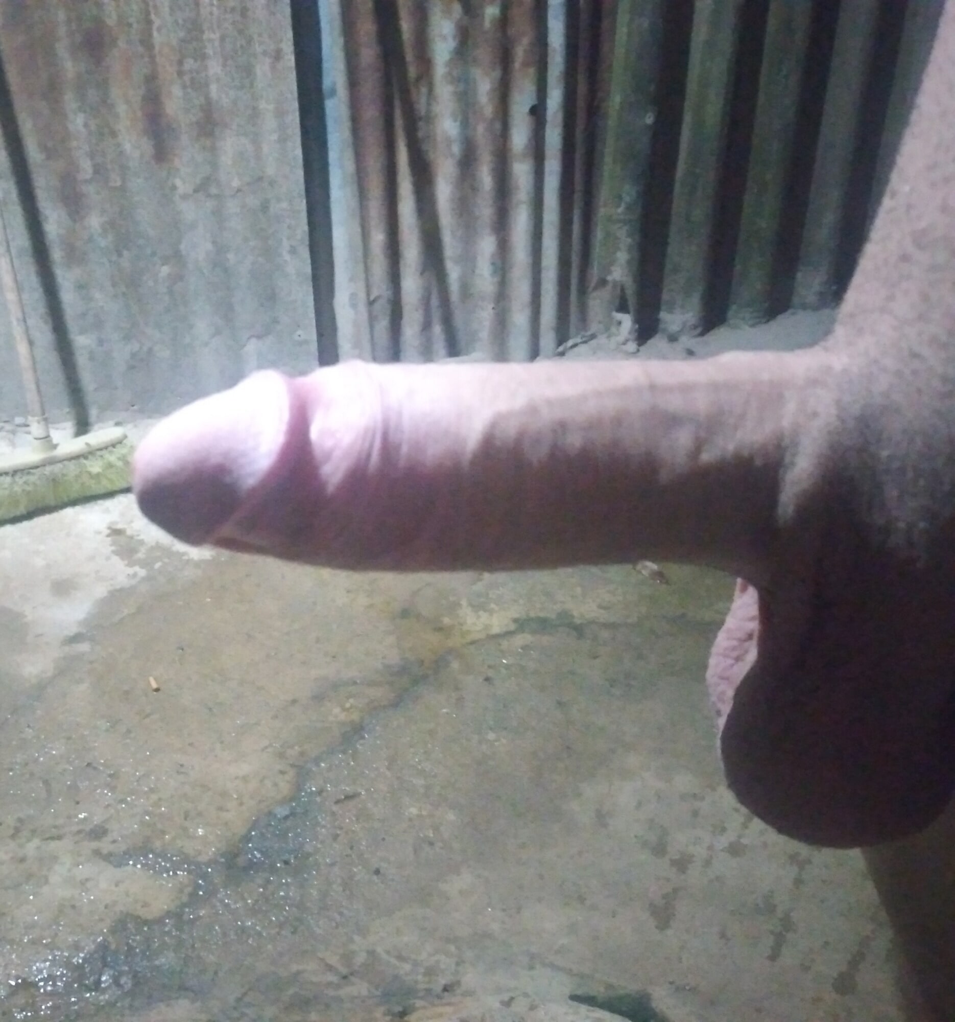Verga De 15 Cm 1 Pics Xhamster